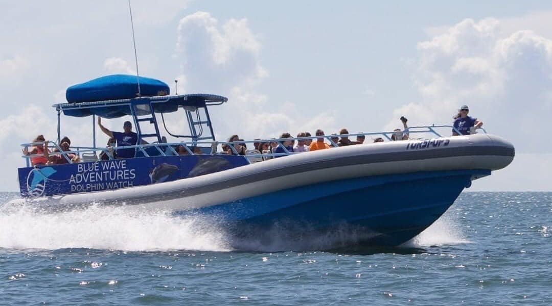 A Guide To Spotting Dolphins On A Boat Tour In Murrells Inlet