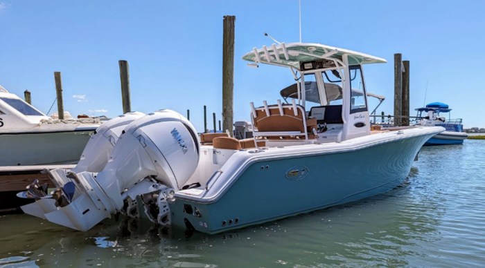 A Guide to the Best Fish to Catch on a Charter Fishing Tour in Myrtle Beach